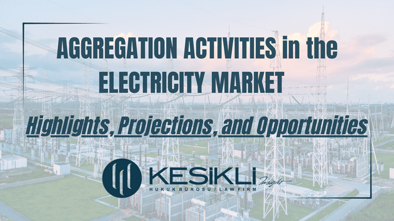 Aggregation Activities in the Electricity Market: Highlights ...